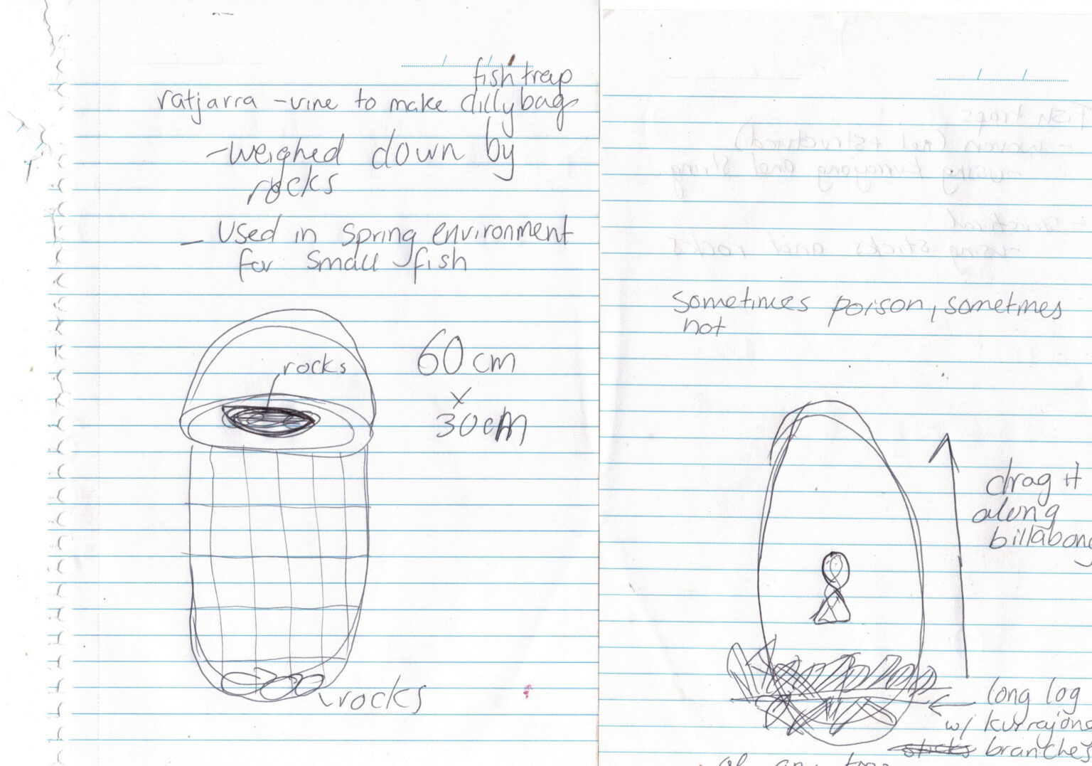 Reviving Yolŋu Fishing Traditions to Restore Waterways - UPLANDS